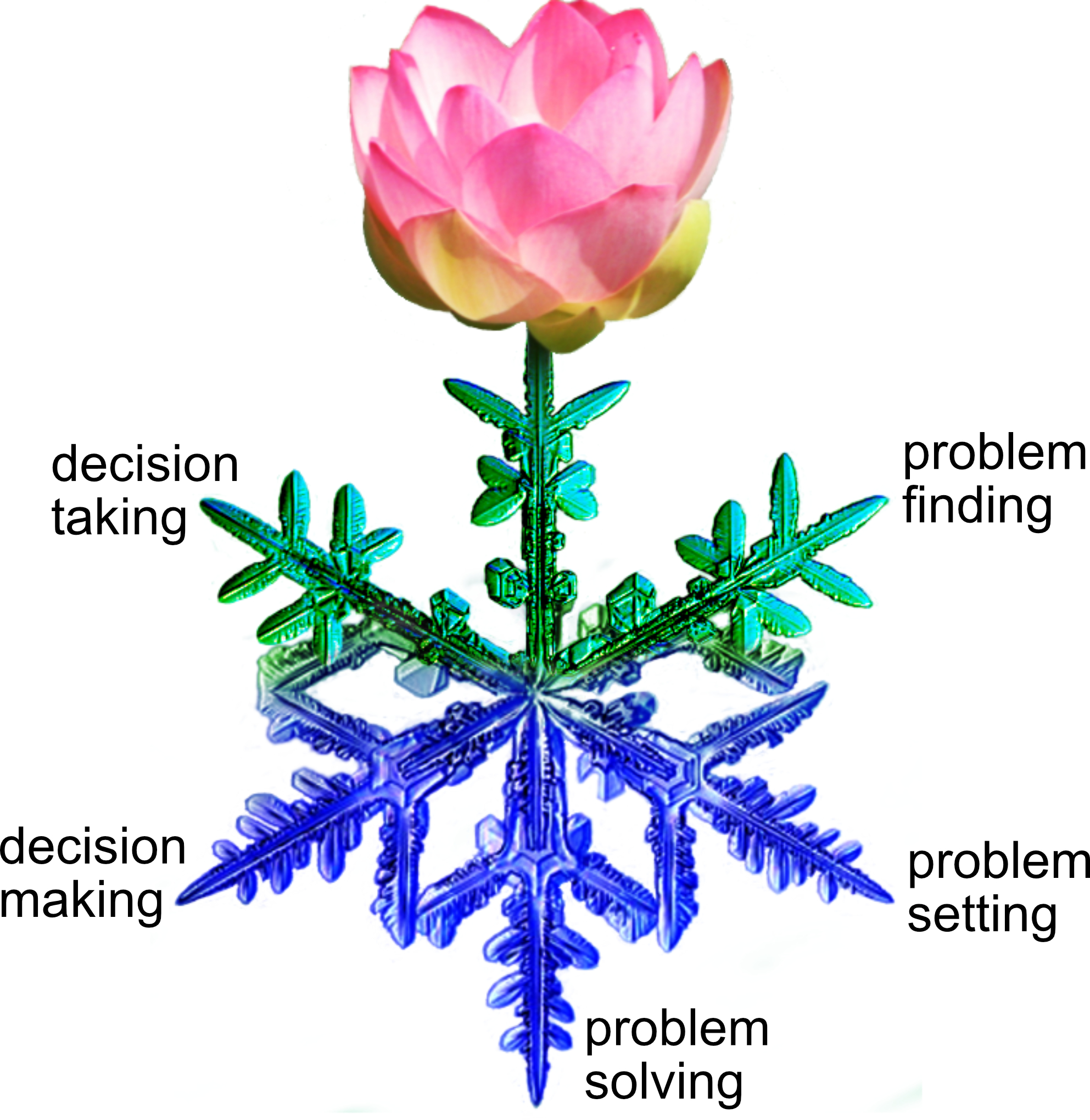 Problem Solving Problem Setting 4700