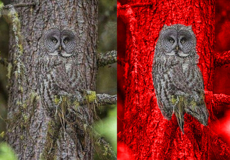 Figura-sfondo - Problem setting